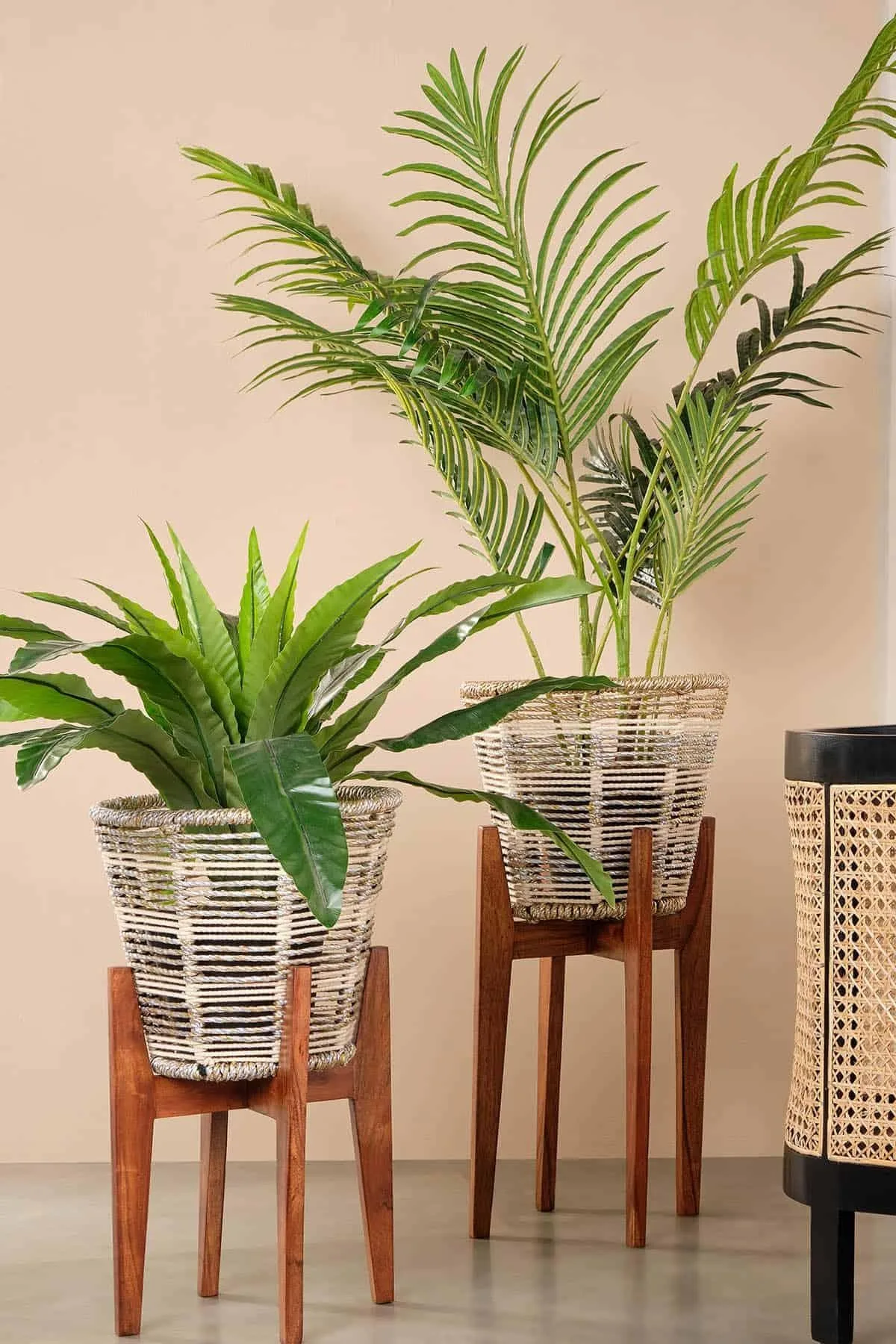 Enhancing Indoor Spaces With Large Ceramic Pots for Plants